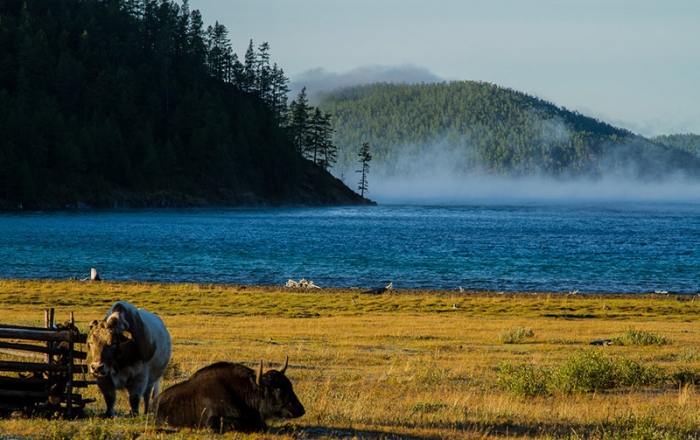 Lake Khuvsgul tour in Mongolia | Explore Mongolia's pristine lake