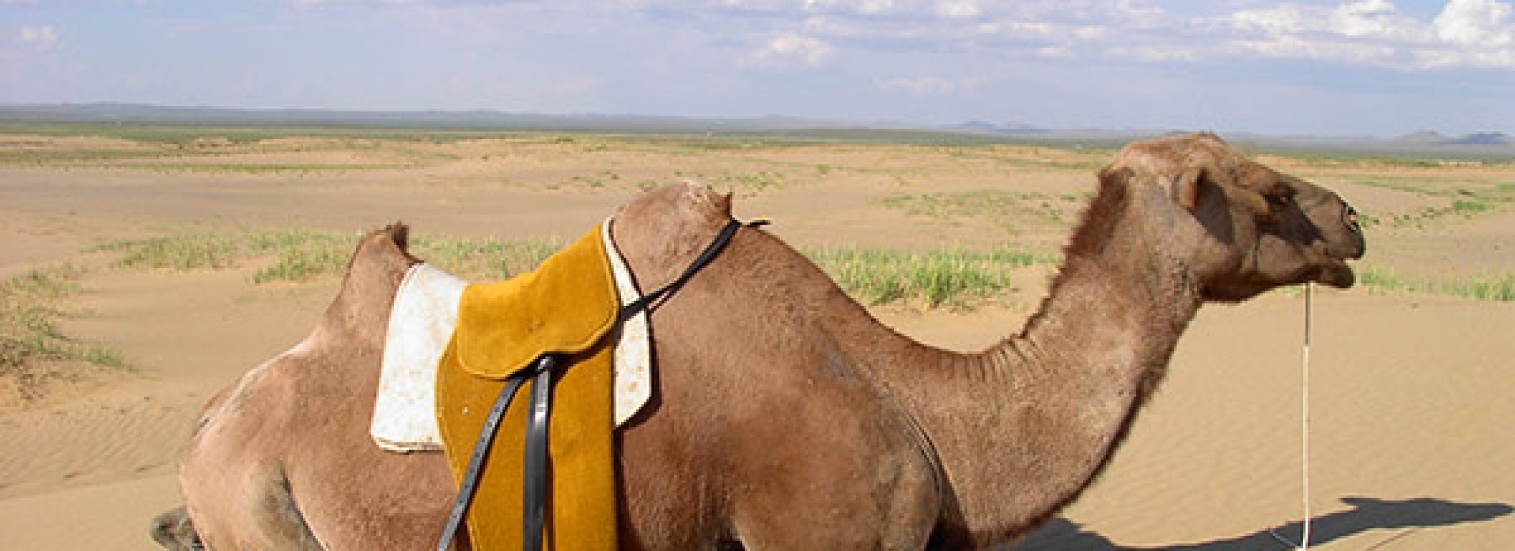Gobi gurvan saikhan mountain | desert mongolia | gobi mongolia