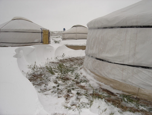 Travel in Mongolian Winter | Ice Festival | Private Tour